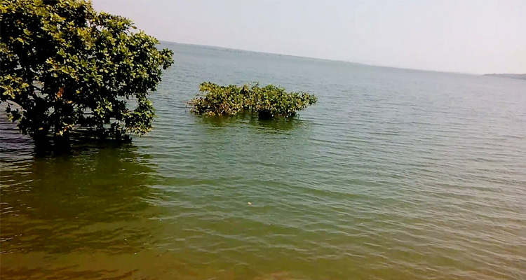 Pakhal Lake and Wildlife Sanctuary, Warangal (Timings, Accommodation ...